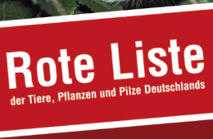 Download Wirbeltiere - Rote-Liste-Zentrum